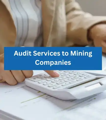 Audit Services for Mining Companies | Management of Risk