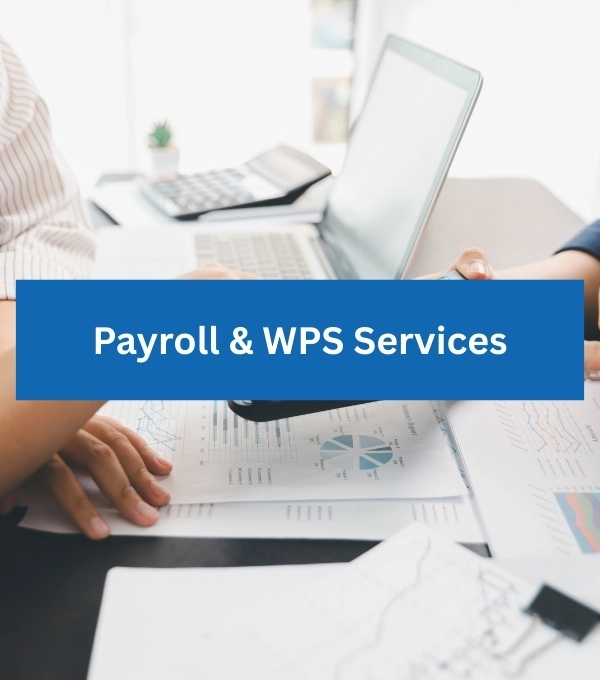 Payroll & WPS Services | Expert Solutions for Businesses